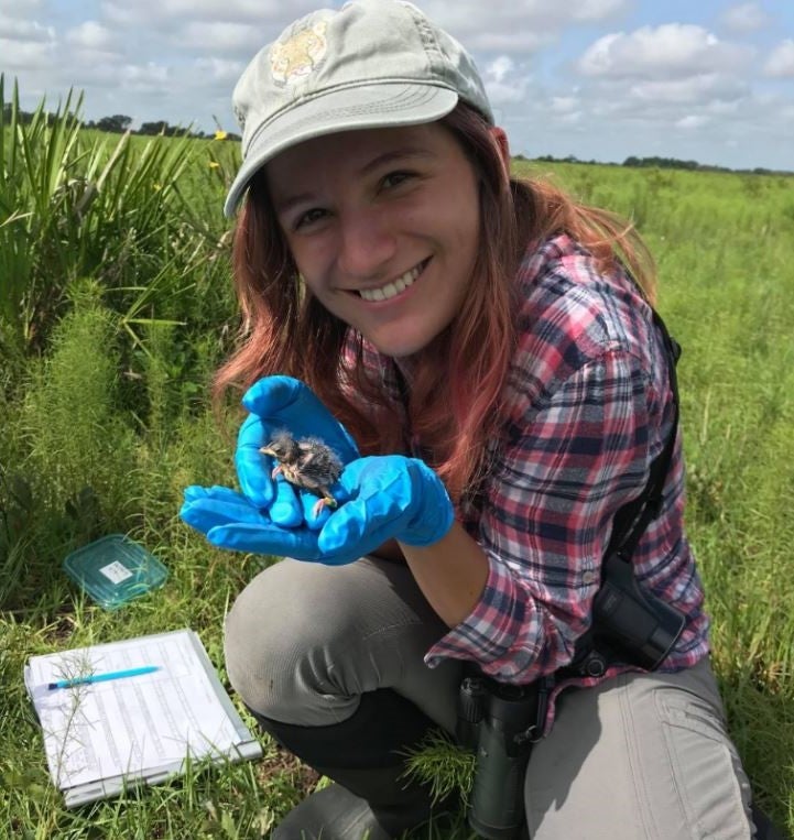 Staff Spotlight Florida Grasshopper Sparrow Team Florida State Parks